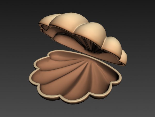 shell 3D Model in Other 3DExport