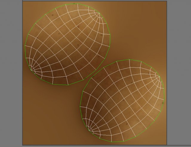 potato 3D Model in Vegetable 3DExport