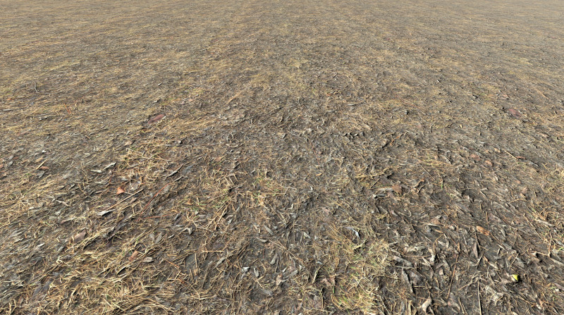 Realistic Terrain Textures Free CG Textures in 3D Textures 3DExport