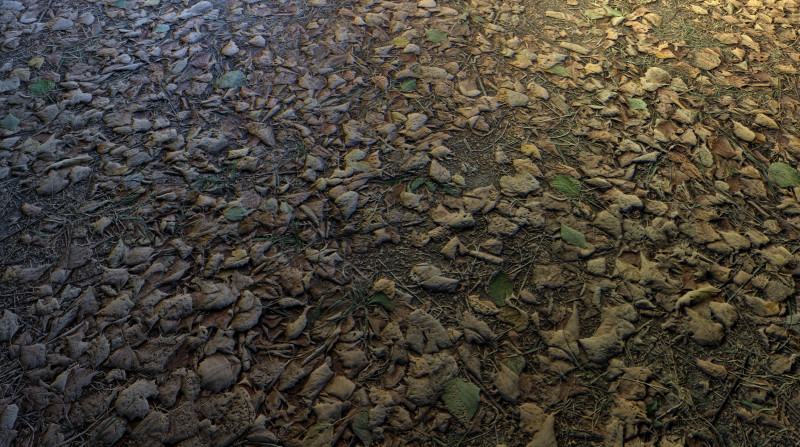 Realistic Terrain Textures Free CG Textures in 3D Textures 3DExport