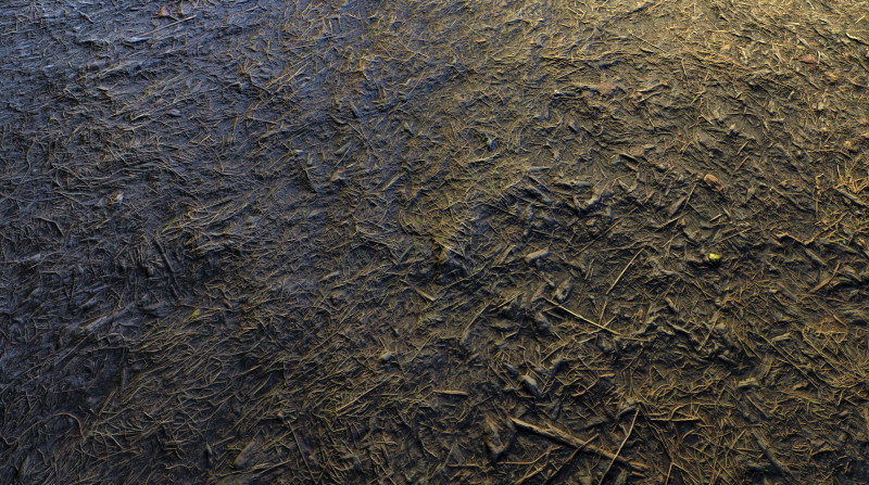 Realistic Terrain Textures Free CG Textures in 3D Textures 3DExport