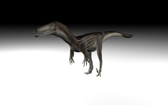 austrosaurus dinosaur 3D Model in Dinosaur 3DExport