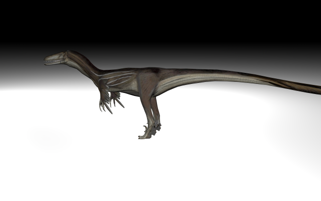 austrosaurus dinosaur 3D Model in Dinosaur 3DExport