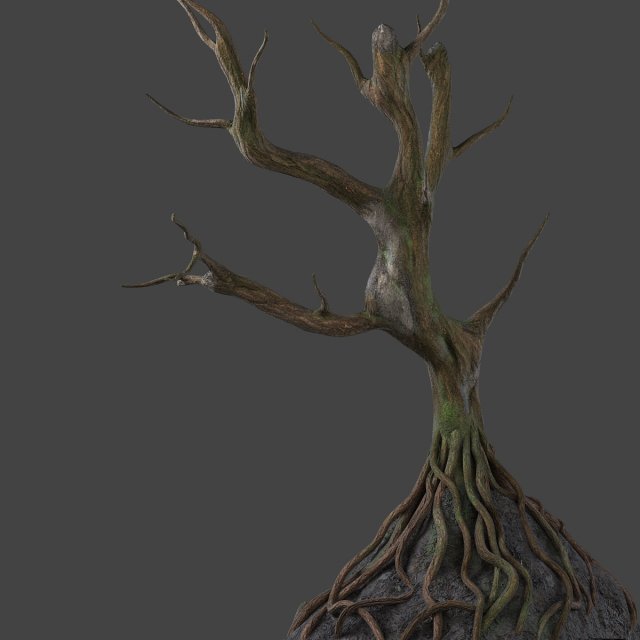 old tree 3D Model in Tree 3DExport