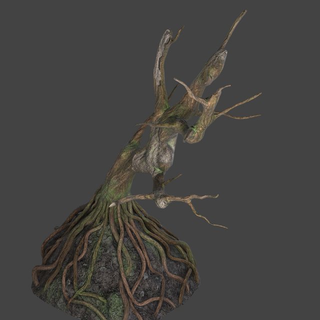 old tree 3D Model in Tree 3DExport