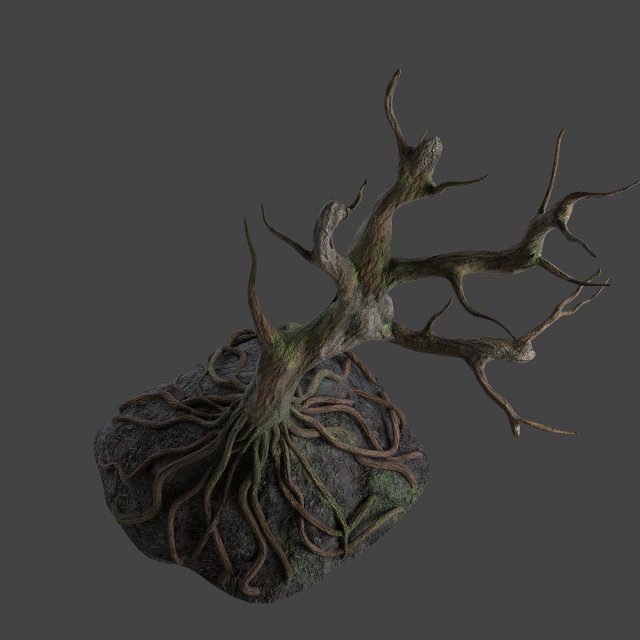 old tree 3D Model in Tree 3DExport