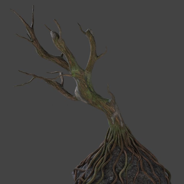 old tree 3D Model in Tree 3DExport