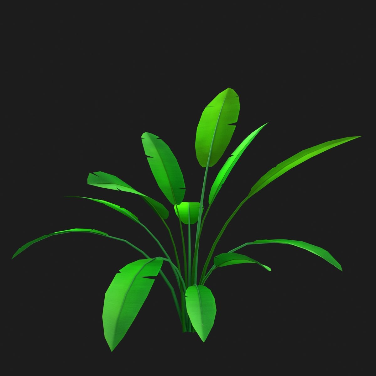 cartoon bush 3D Models in Bush 3DExport