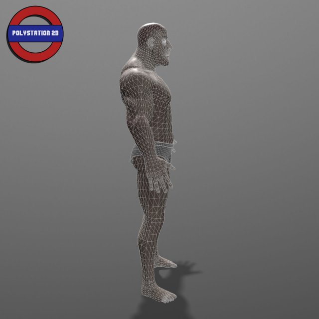 Human anatomy male body stylized cartoon v1 3D Model in Anatomy 3DExport