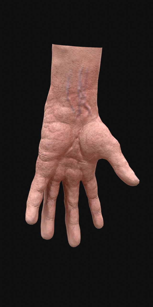 realistic rigged old man hand 3D Model in Anatomy 3DExport