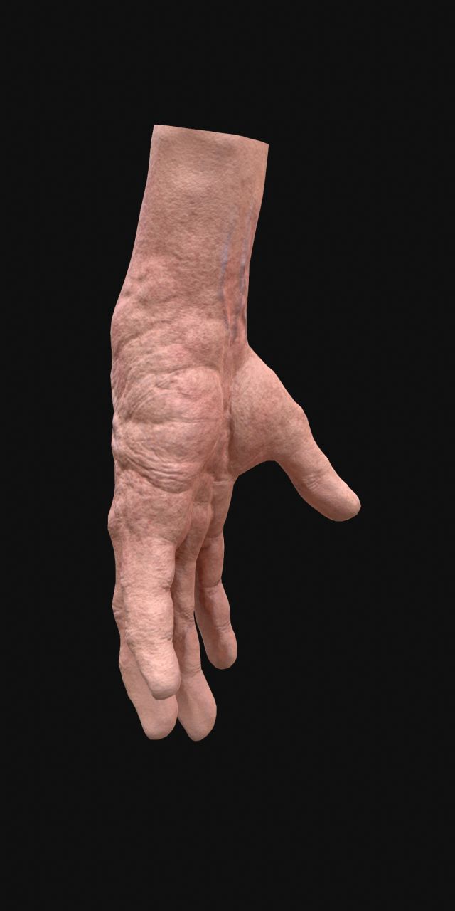 realistic rigged old man hand 3D Model in Anatomy 3DExport