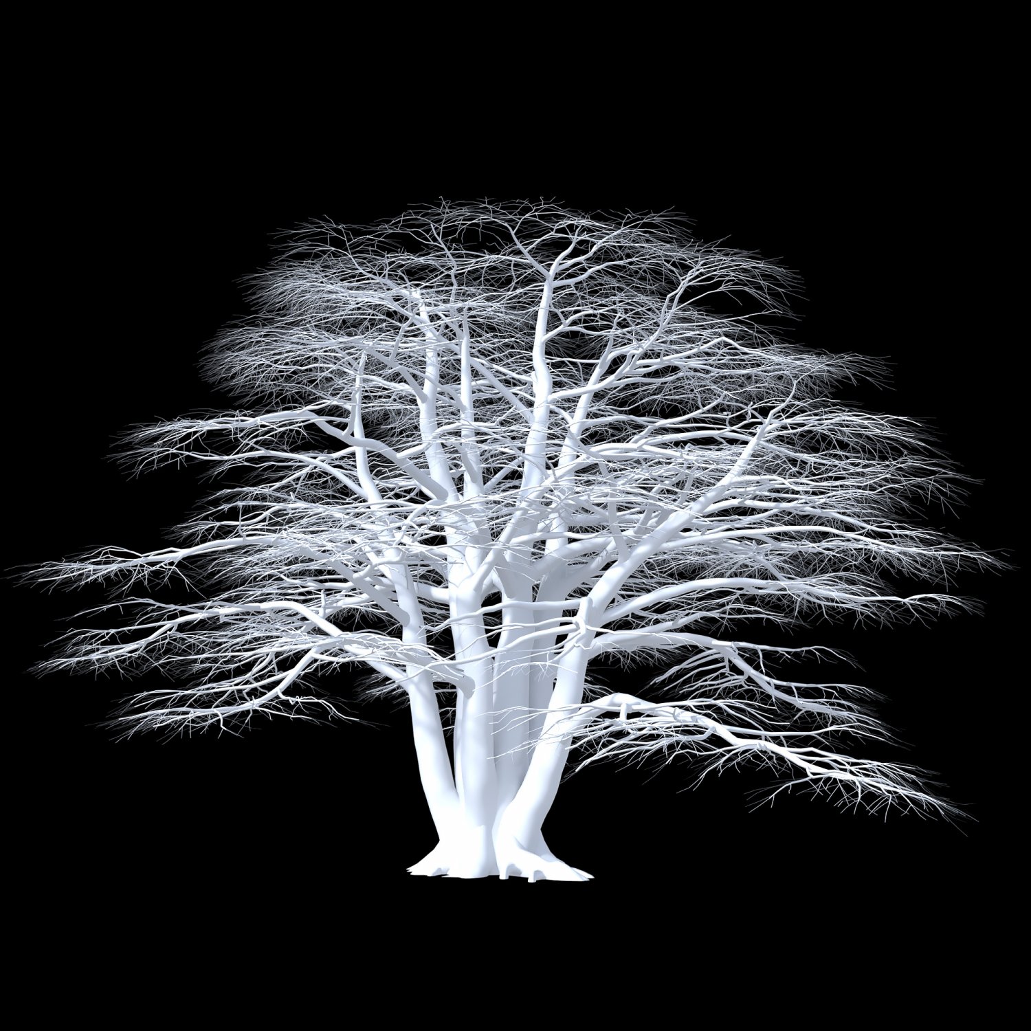 Atlas cedar 3D Model in Tree 3DExport