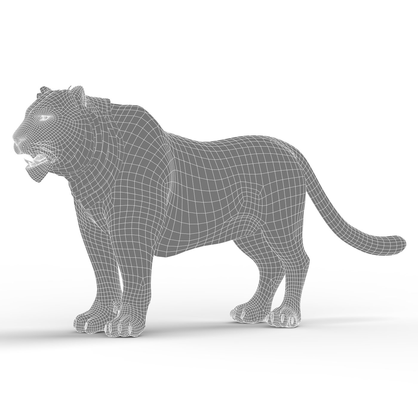 Tiger 3d model - 89 фото