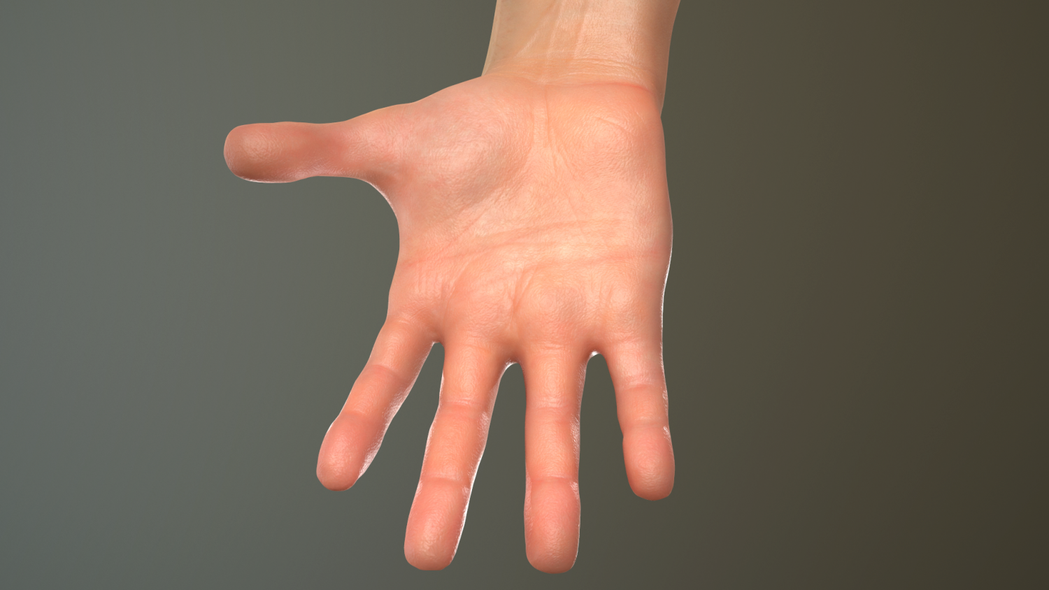 Male Hand Rigged 3D Model in Anatomy 3DExport