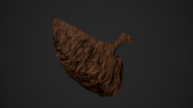 Facial Hair Cards Style 2 - Full Beard 2 3D Model in Man 3DExport