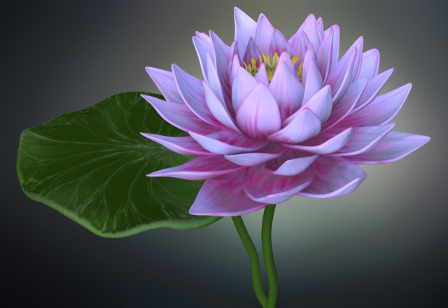 lotus flower high poly and 3d print 3D Model in Flowers 3DExport