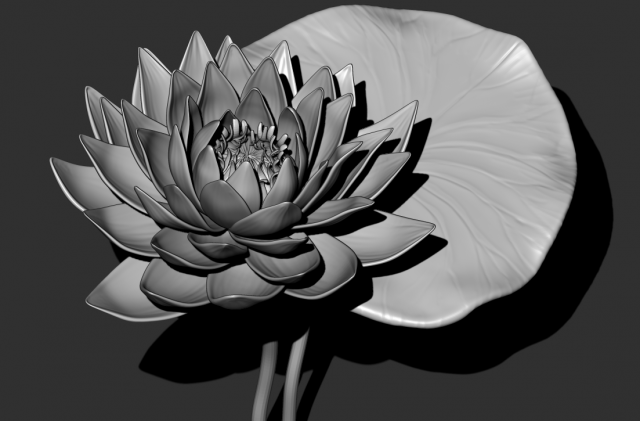 lotus flower high poly and 3d print 3D Model in Flowers 3DExport