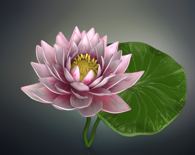 lotus flower high poly and 3d print 3D Model in Flowers 3DExport