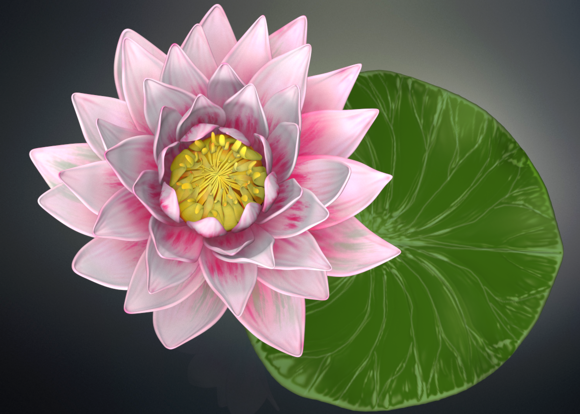 Lotus flower high poly 3D Model in Flowers 3DExport