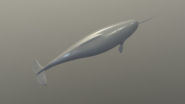 narval 3D Model in Aquatic 3DExport