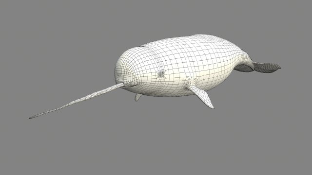 narval 3D Model in Aquatic 3DExport