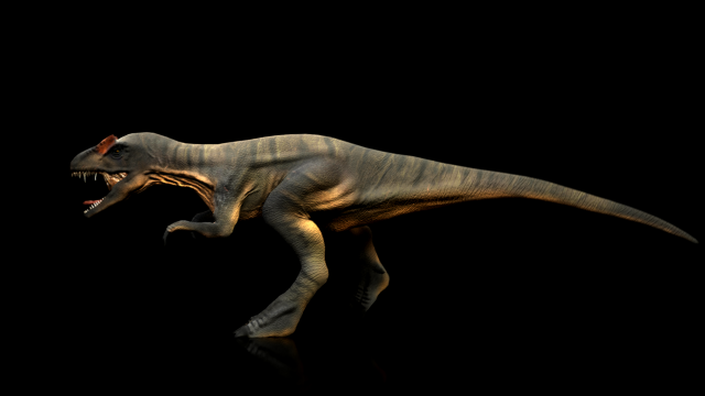 allosaurus rigged and animated 3D Model in Dinosaur 3DExport