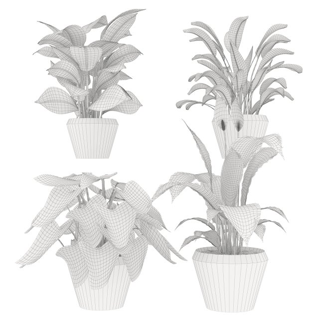 collection plant one 3D Model in Small Plants 3DExport