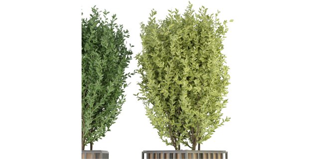 Collection Plant Vol 94 - Blender Model 3D Model in Bush 3DExport