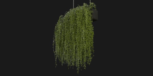 Collection Plant Vol 202 - Blender Model 3D Model in Bush 3DExport