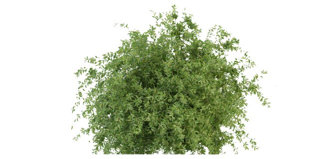 Collection Plant Vol 226 - Blender Model 3D Model in Bush 3DExport