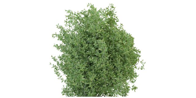 Collection Plant Vol 226 - Blender Model 3D Model in Bush 3DExport