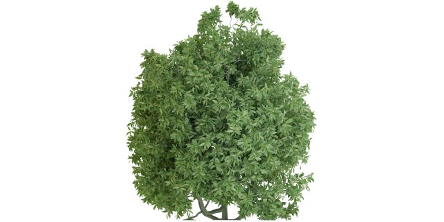 Collection Plant Vol 226 - Blender Model 3D Model in Bush 3DExport