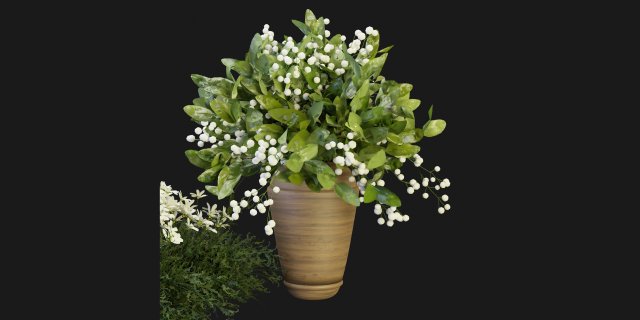 Collection Plant Vol 262 - Blender Model 3D Model in Flowers 3DExport
