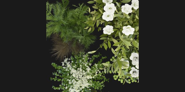 Collection Plant Vol 268 - Blender Model 3D Model in Flowers 3DExport