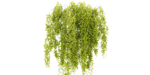 Collection Plant Vol 281 - Blender Model 3D Model in Bush 3DExport