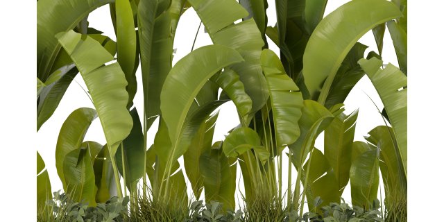 Collection Plant Vol 289 - Blender Model 3D Model in Small Plants 3DExport