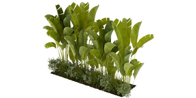 Collection Plant Vol 289 - Blender Model 3D Model in Small Plants 3DExport
