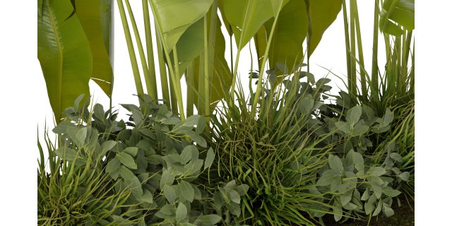 Collection Plant Vol 289 - Blender Model 3D Model in Small Plants 3DExport