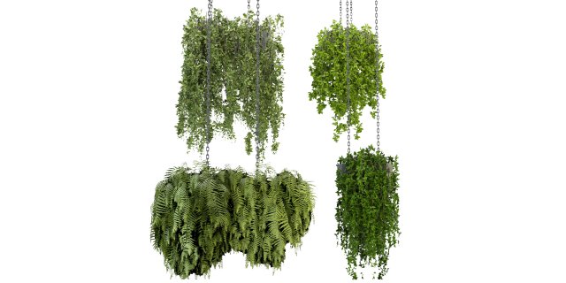 Collection Plant Vol 291 - Blender Model 3D Model in Bush 3DExport