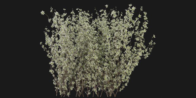 Collection Plant Vol 355 - Blender Model 3D Model in Bush 3DExport