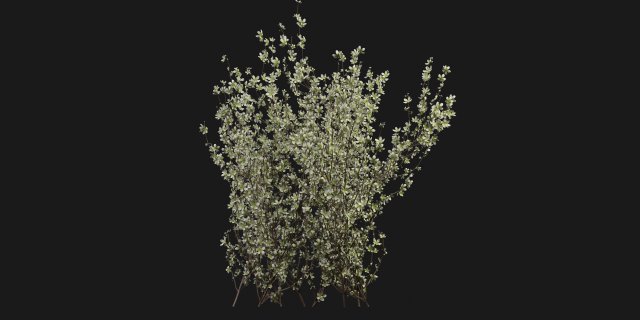 Collection Plant Vol 355 - Blender Model 3D Model in Bush 3DExport