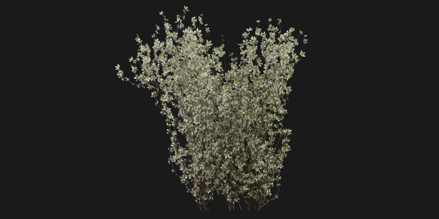 Collection Plant Vol 355 - Blender Model 3D Model in Bush 3DExport