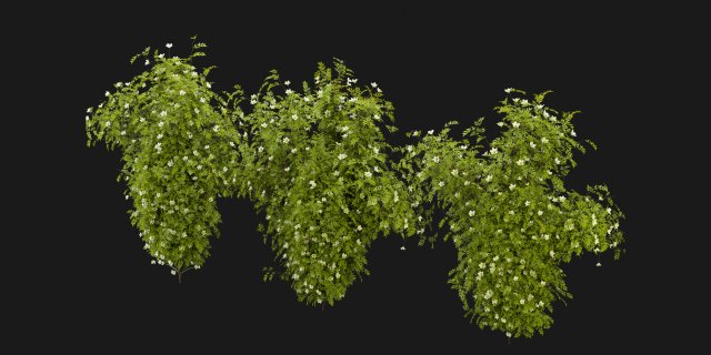 Collection Plant Vol 358 - Blender Model 3D Model in Bush 3DExport