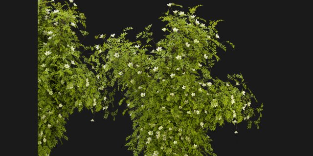 Collection Plant Vol 358 - Blender Model 3D Model in Bush 3DExport