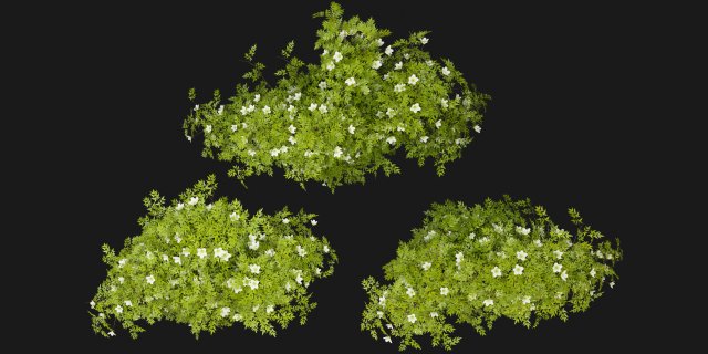 Collection Plant Vol 358 - Blender Model 3D Model in Bush 3DExport