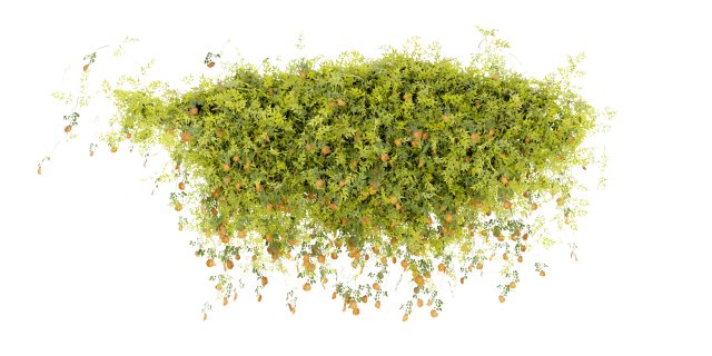 Collection Plant Vol 376 - Blender Model 3D Model in Bush 3DExport