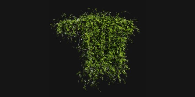 Collection Plant Vol 387 - Blender Model 3D Model in Bush 3DExport