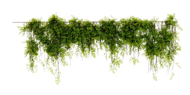 Collection Plant Vol 425 - Blender Model 3D Model in Bush 3DExport