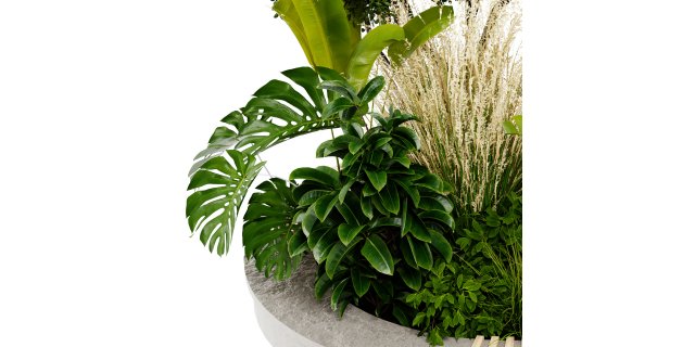 Collection Plant Vol 434 - Blender Model 3D Model in Tree 3DExport