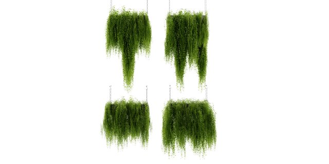 Collection Plant Vol 461 - Blender Model 3D Model in Bush 3DExport